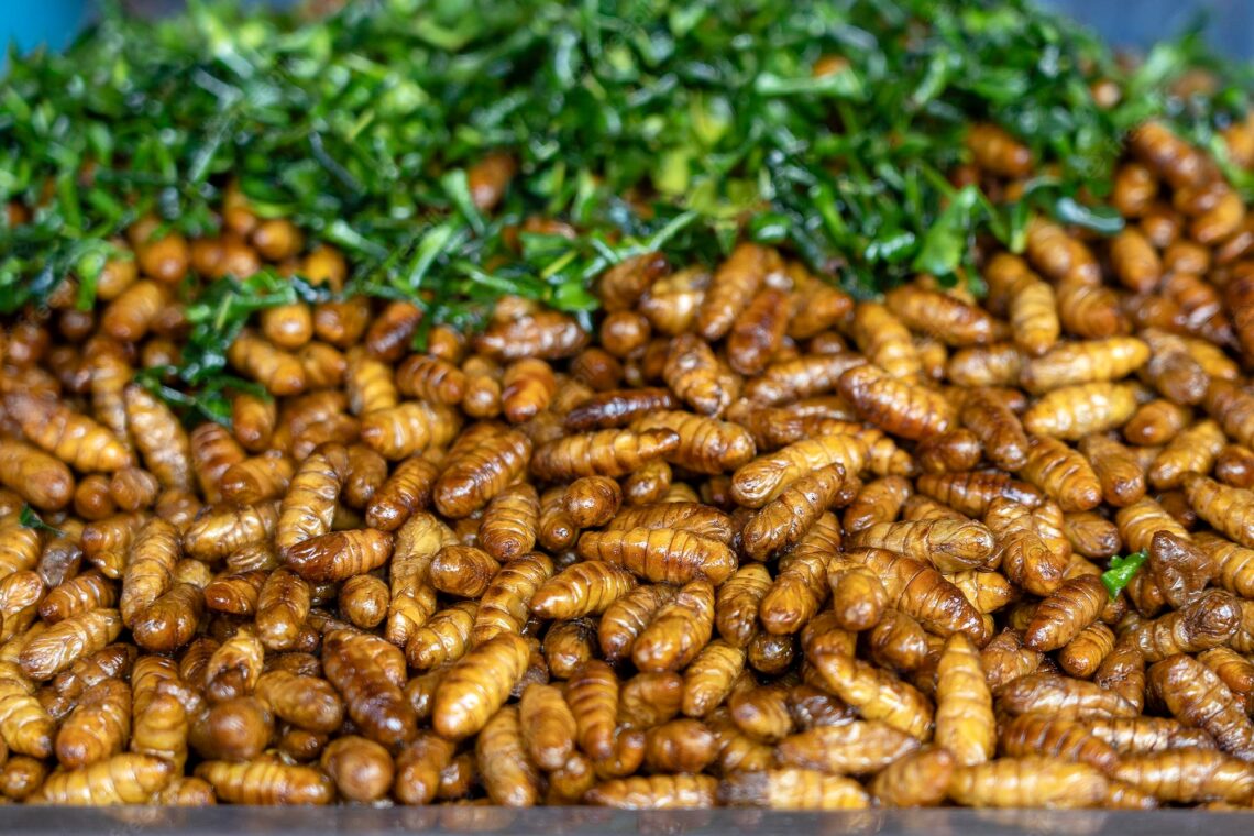 Nigerian Edible Worms – Rededit Magazine